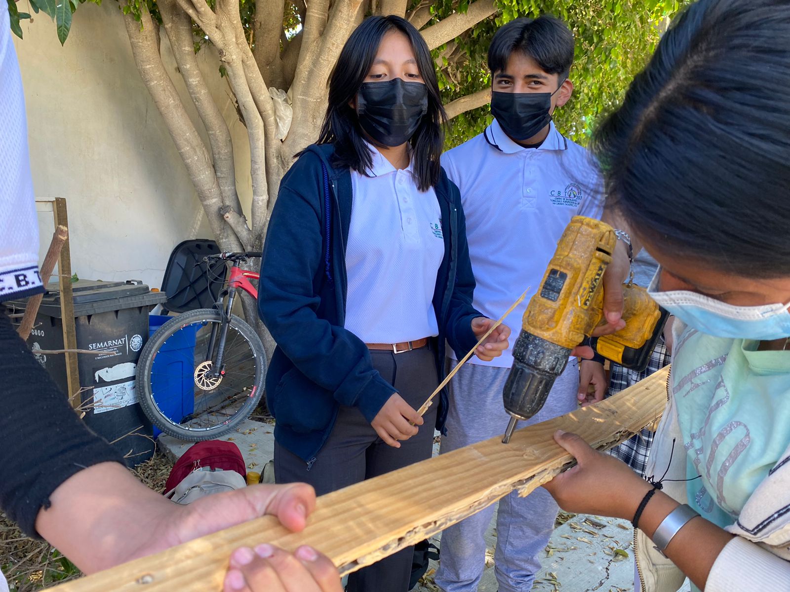 Galería – C.B.T.a. No. 203