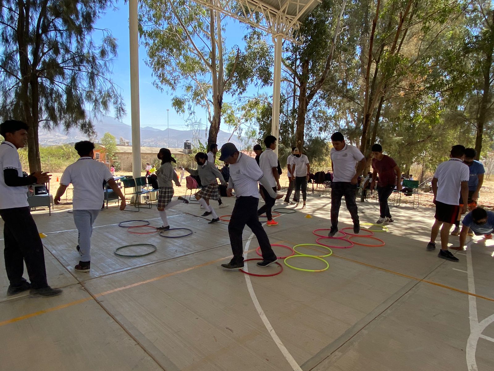 Galería – C.B.T.a. No. 203