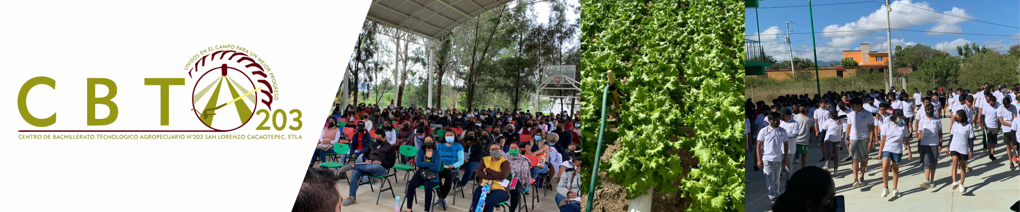 C.B.T.a. No. 203 – Unidos en el campo para un mejor progreso